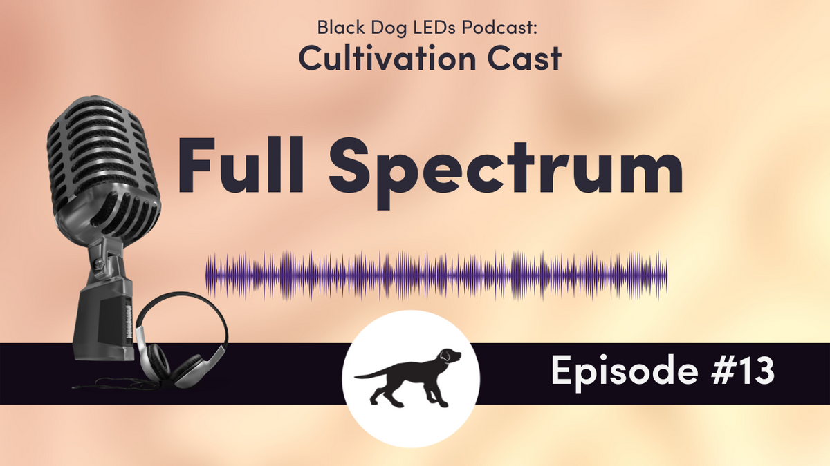 Full Spectrum – Black Dog LED