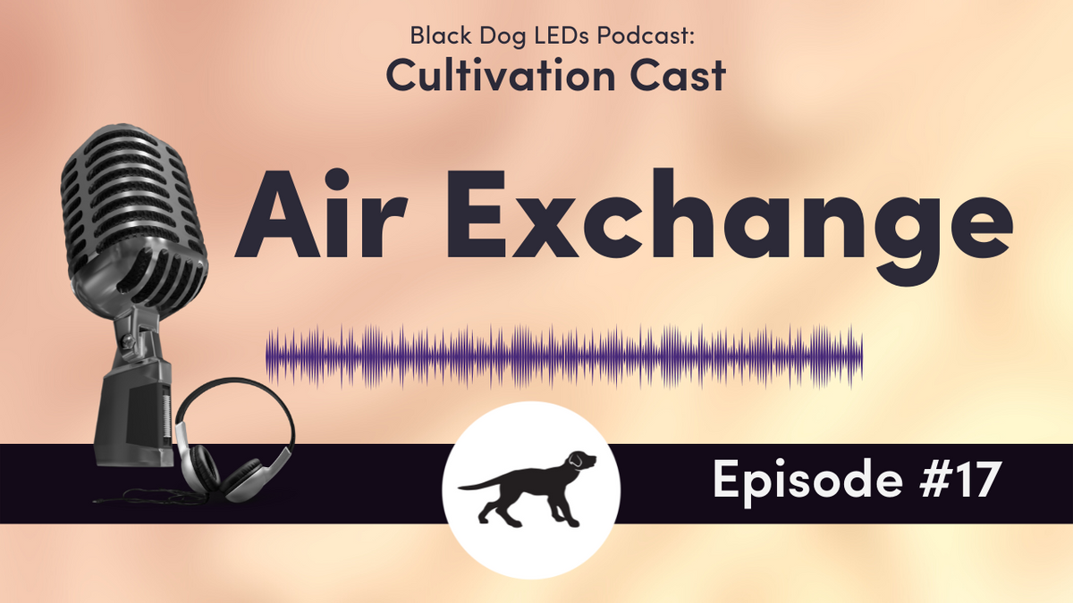 Air Exchange – Black Dog LED