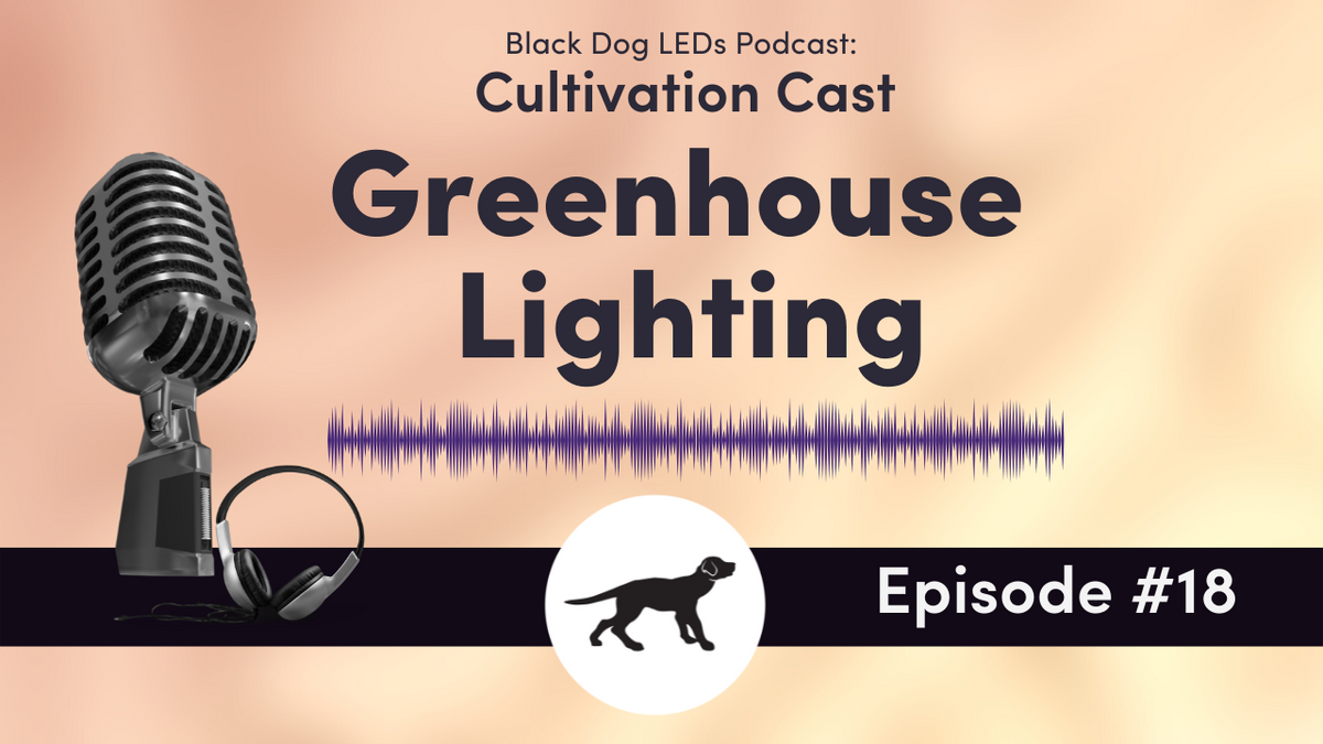 Greenhouse Lighting – Black Dog LED