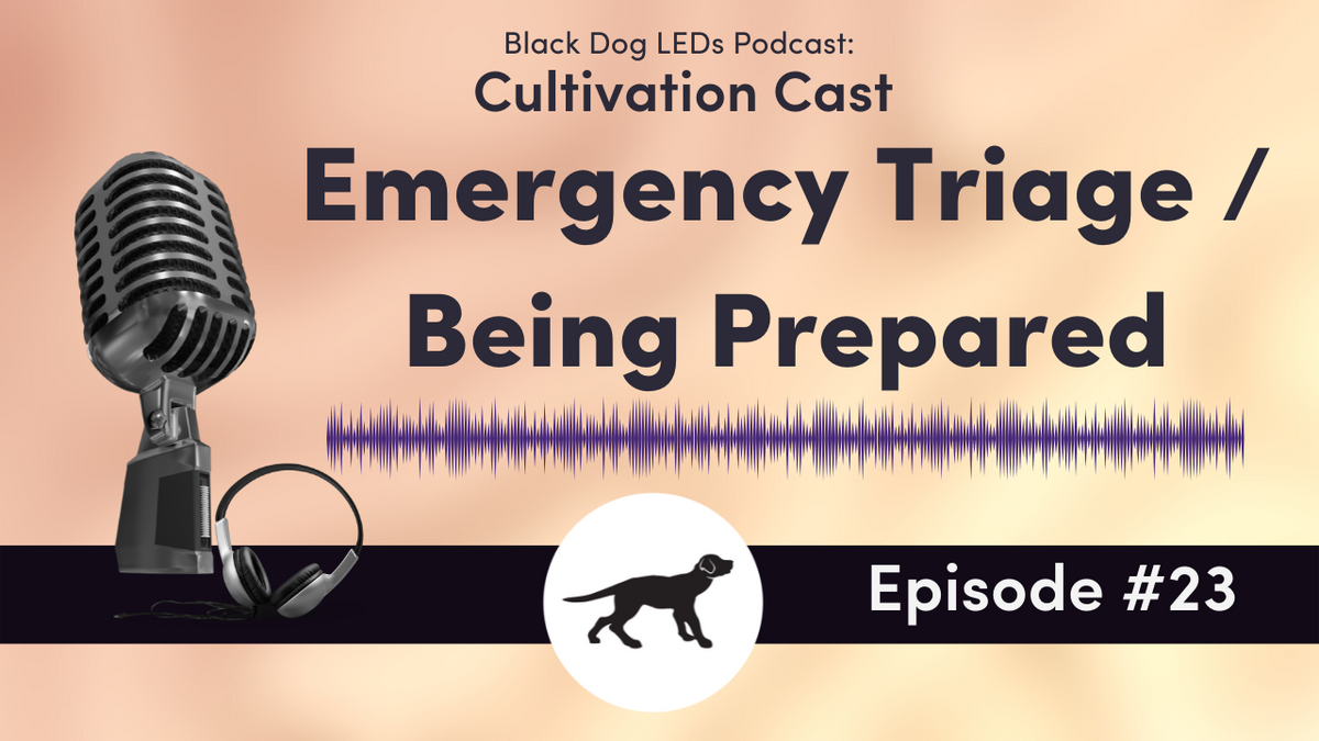 Emergency Triage / Being Prepared – Black Dog LED