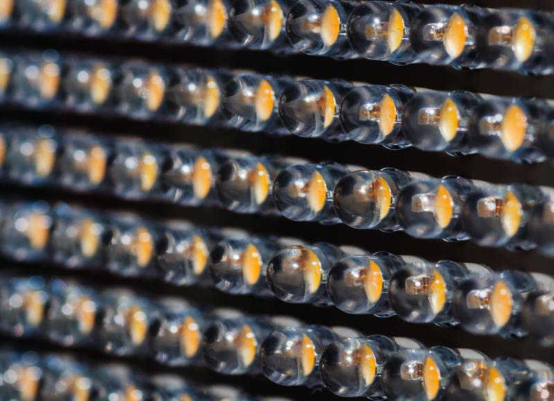 The Benefits of LED Grow Lights – Black Dog LED