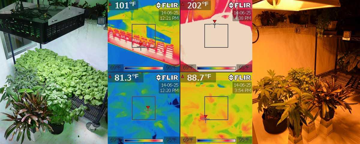 Black Dog LED Research Demonstrates Plant-Optimized Grow Lights Requir