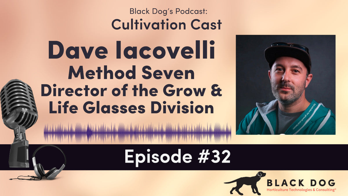 Interview with Dave Iacovelli from Method Seven – Black Dog LED