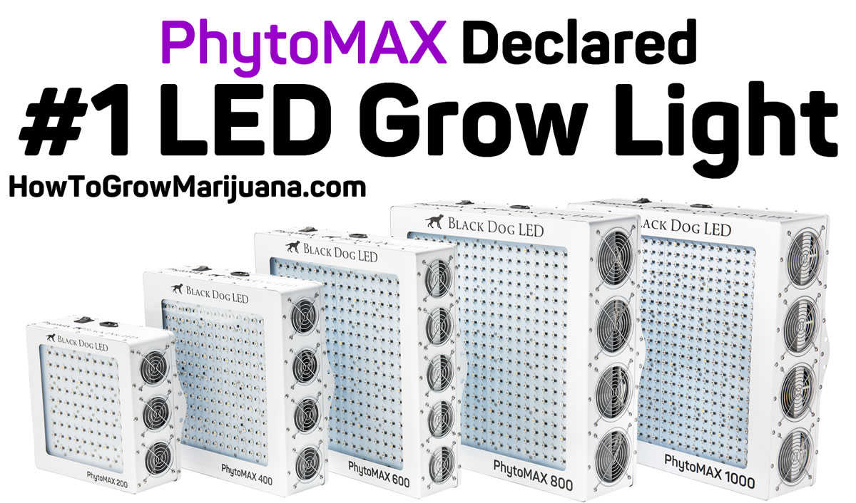 Black Dog LED Named Best LED Grow Light 2016!
