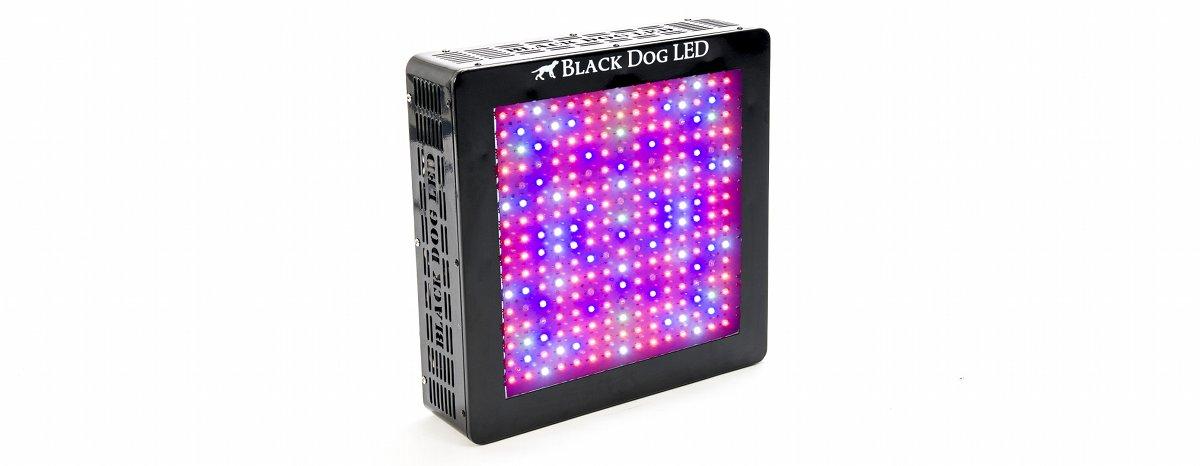 What are LED Grow Lights? – Black Dog LED